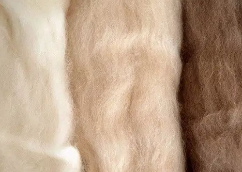 What is cashmere? What are the advantages and disadvantages of cashmere ...